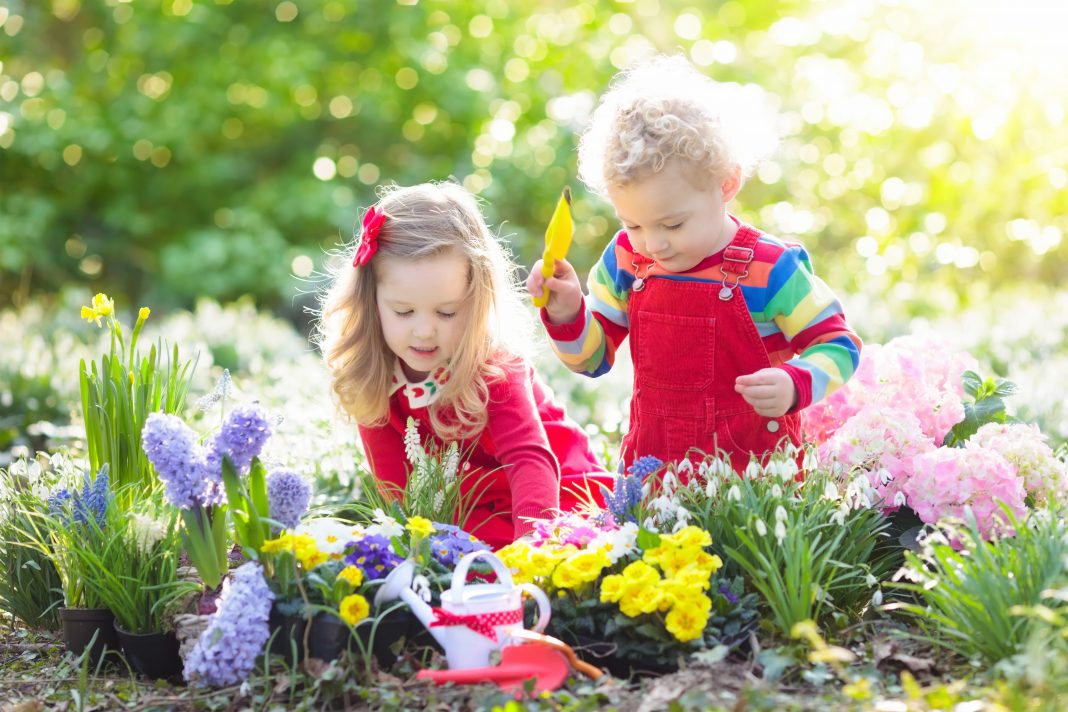 Garden Plants That Are Safe For Children Kids Do Gardening Garden Plants That Are Safe For Children Kids Do Gardening
